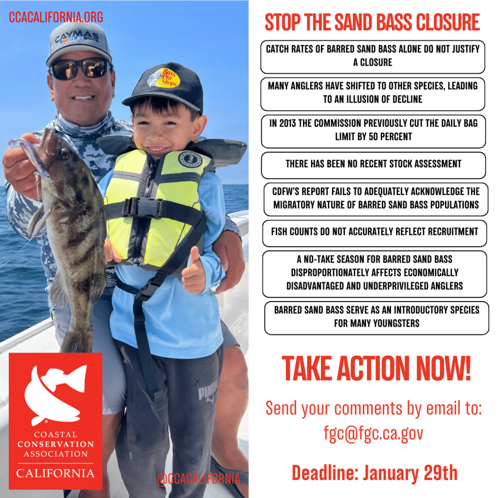 Sand Bass – Coastal Conservation Association California